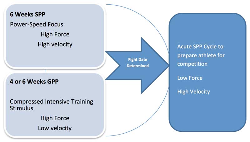 综合格斗运动员压缩三相模型的应用 - 下载亚搏体肓